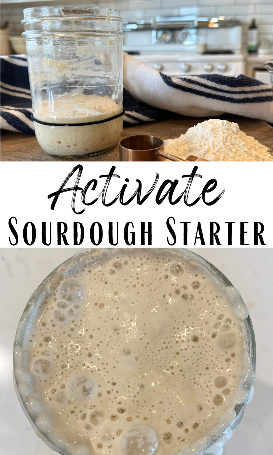 How to Activate Sourdough Starter - Tradition & Thyme